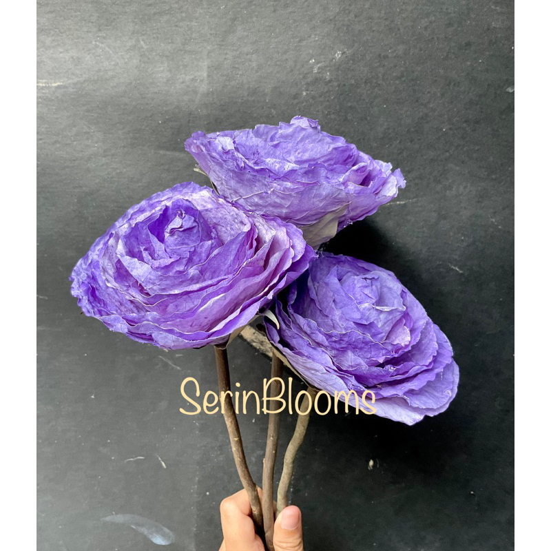 Fossilized Rose(1 stem only) | Shopee Philippines