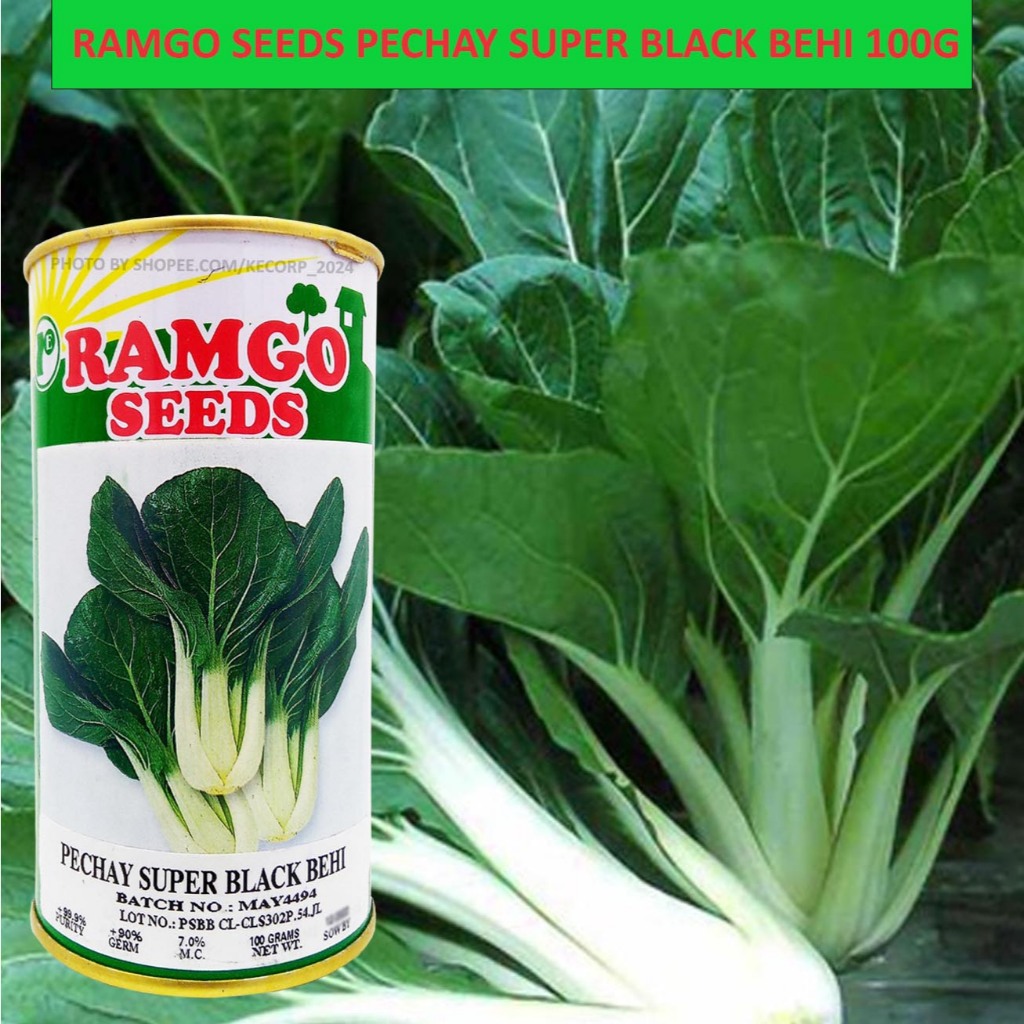 Ramgo Seeds Tin Can Pechay Super Black Behi 100g_kc241207 | Shopee ...