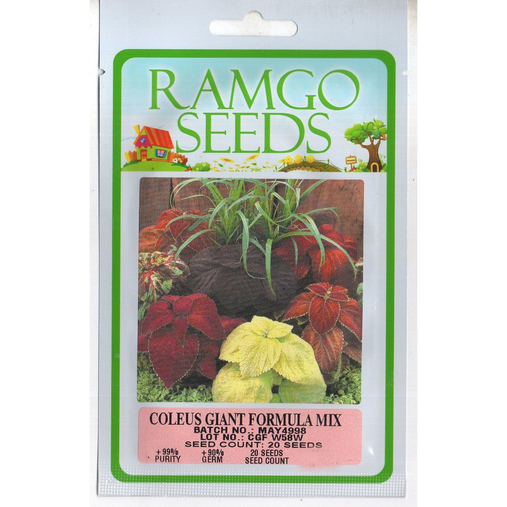 Coleus Giant Formula Mix by Ramgo Seeds | Shopee Philippines