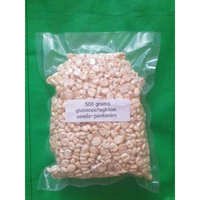 500 grams glutinous white corn lagkitan seeds selected | Shopee Philippines