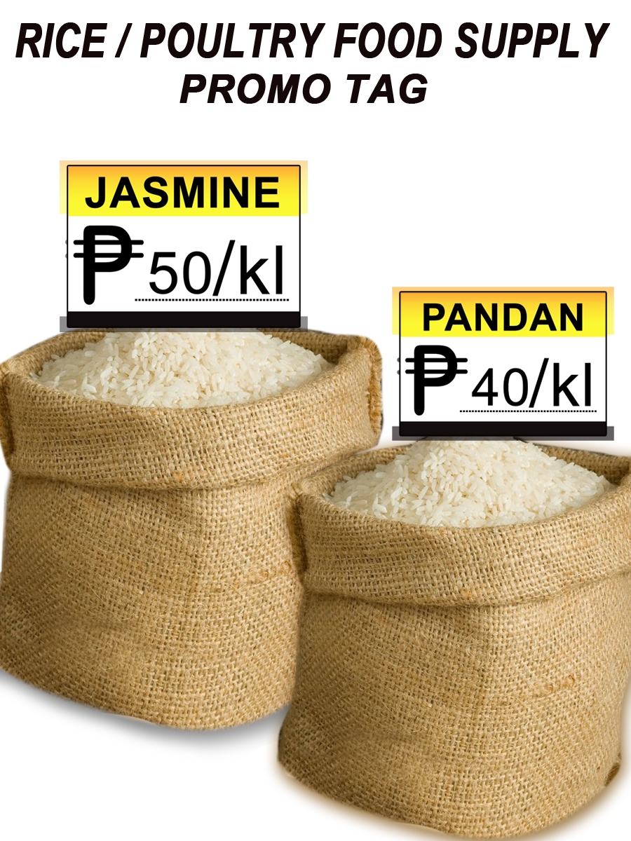 PROMO TAG Customized (Laminated) Sale Display, PRICE TAG, FEEDS / BIGAS ...