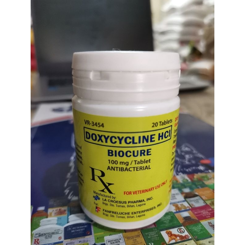 BIOCURE Doxycycline HCI 100mg/Tablet Antibacterial | Shopee Philippines