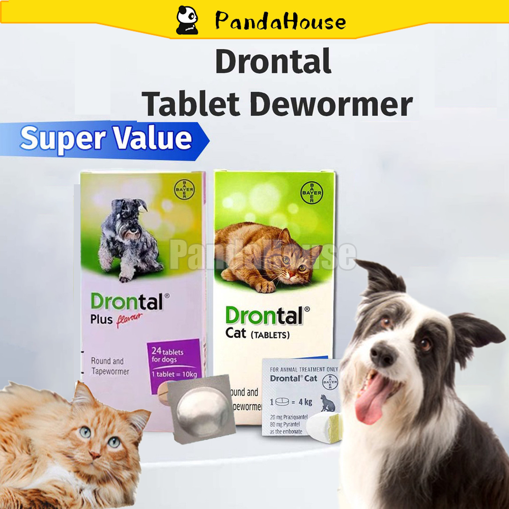 Drontal Plus 1 Tablet Tasty Dewormer Tablets for Dogs Cats | Shopee ...