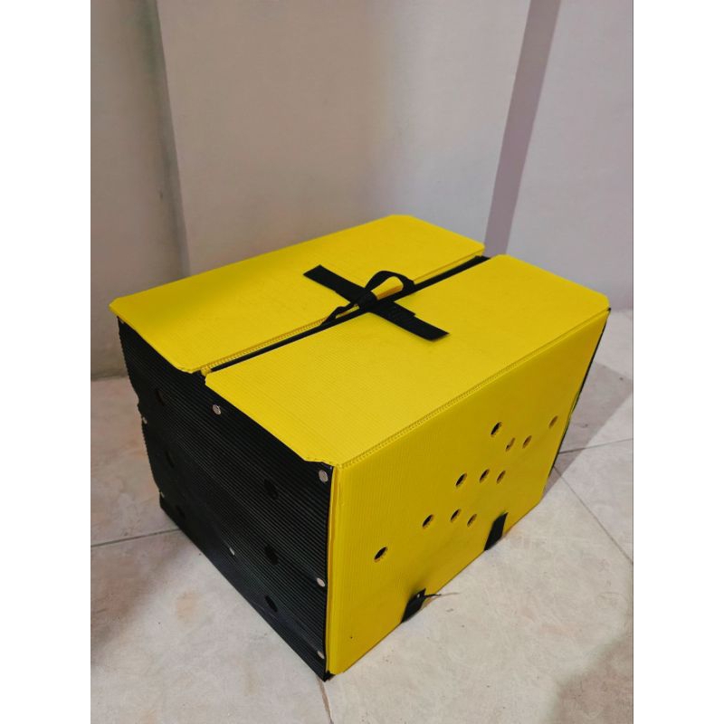 PLASTIC DERBY BOX DOUBLE | Shopee Philippines
