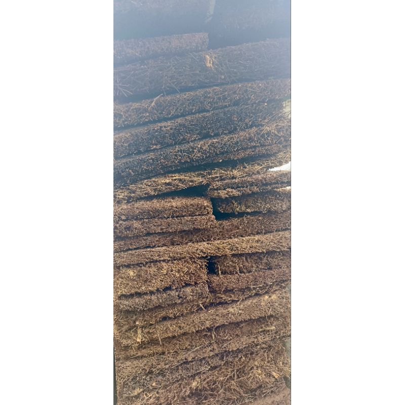 Fern slab for your hanging plants and orchids | Shopee Philippines
