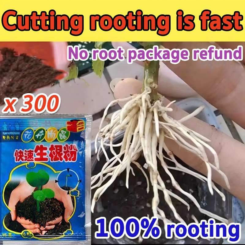 Rapid Growth Root Medicinal Hormone Regulators Garden Rooting Powder ...