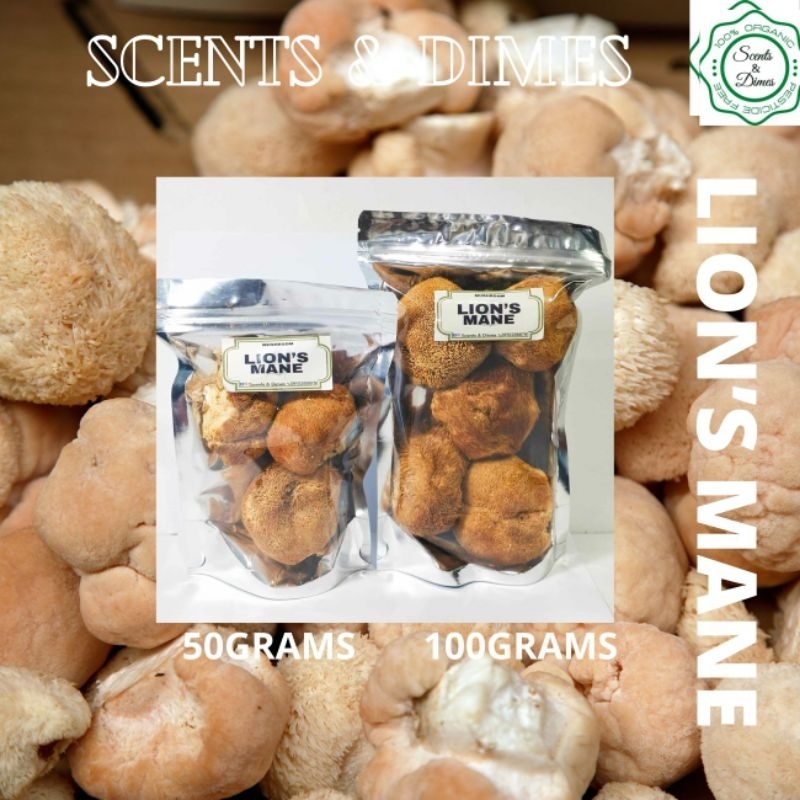 Organic Dried Lion's Mane Mushroom (Hericium Rrinaceus) | Shopee ...