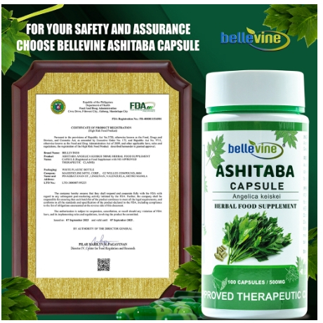 BELLEVINE ASHITABA HERBAL CAPSULE 500mg 100pcs | Shopee Philippines