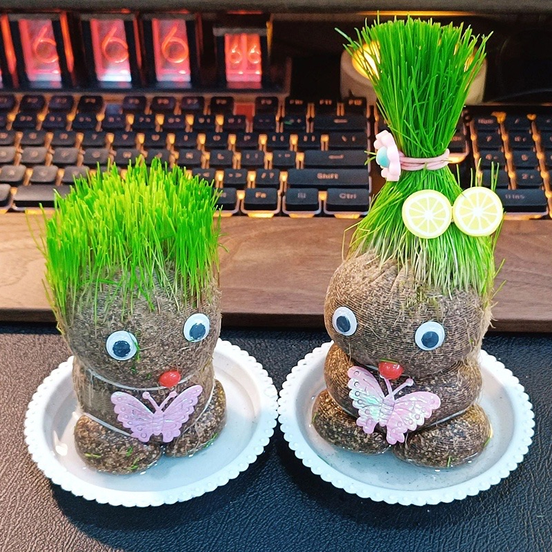 Plant Grass Head Toys DIY Potted Doll for Children Room Book desk Decor ...