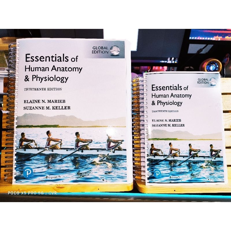 Essentials of Human Anatomy & Physiology [Global Edition] 13th Edition ...