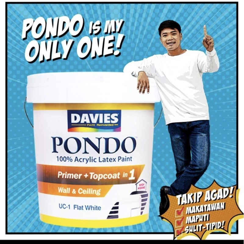 DAVIES PONDO HIGH-HIDING 2in1 Primer Topcoat Flat Latex White (4liters ...