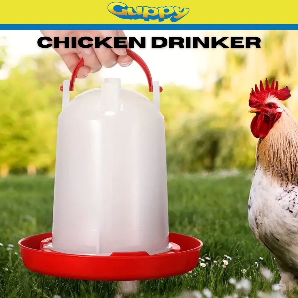 Automatic Chicken Drinker Poutlry Water Available in 750ml, 1.5L, 3 ...