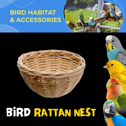 Bird nest - half ratan basket bird egg shelter nesting finches society ...