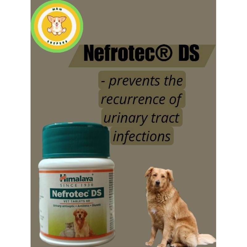 Himalaya Nefrotec DS for Dogs and Cats (60 tablets) | Shopee Philippines