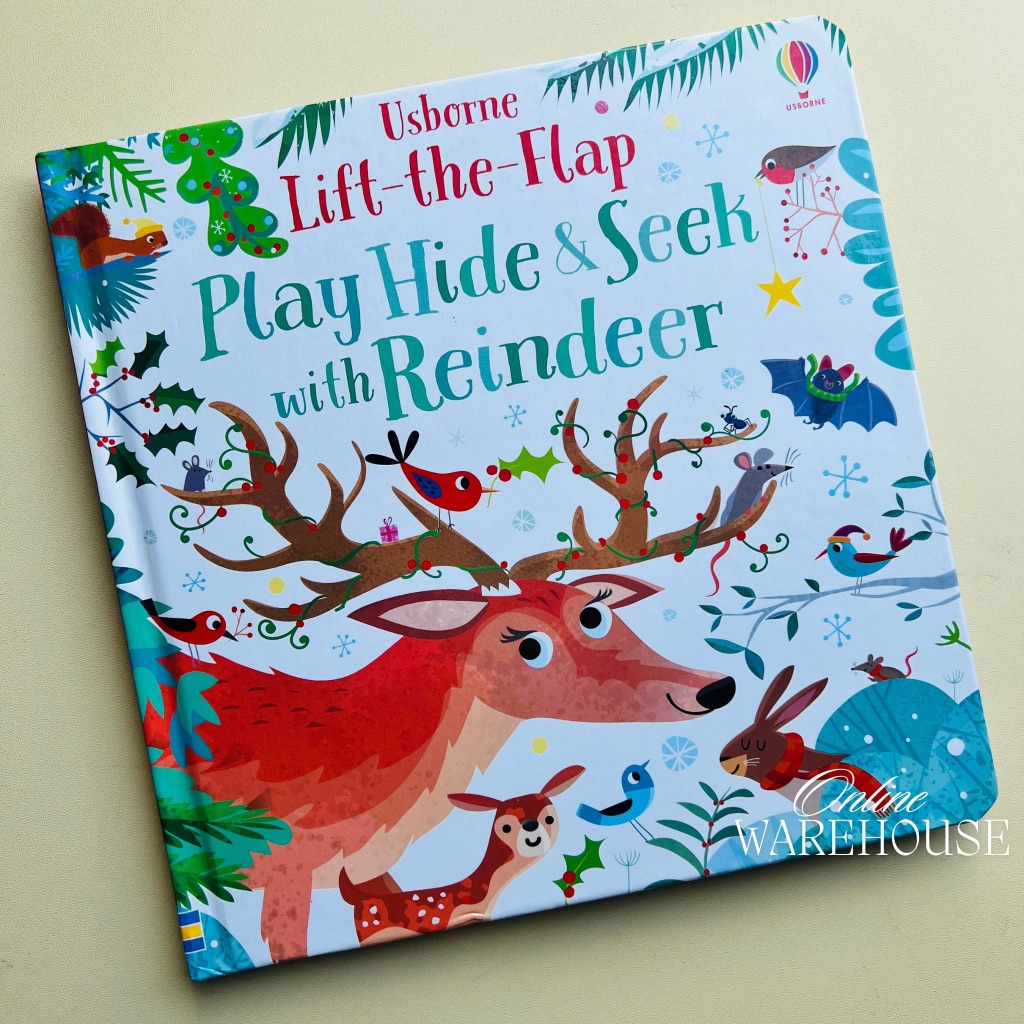 Usborne Lift-the-Flap PLAY HIDE & SEEK with REINDEER [Board Book ...