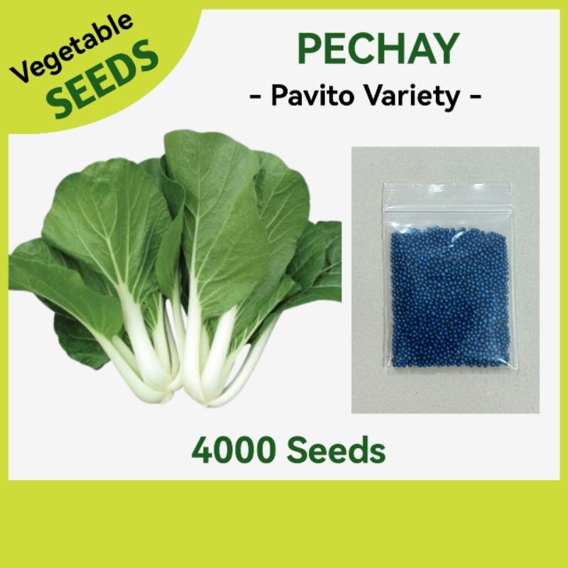 PECHAY SEEDS - Pavito Variety - High Quality Vegetable Seeds | Shopee ...