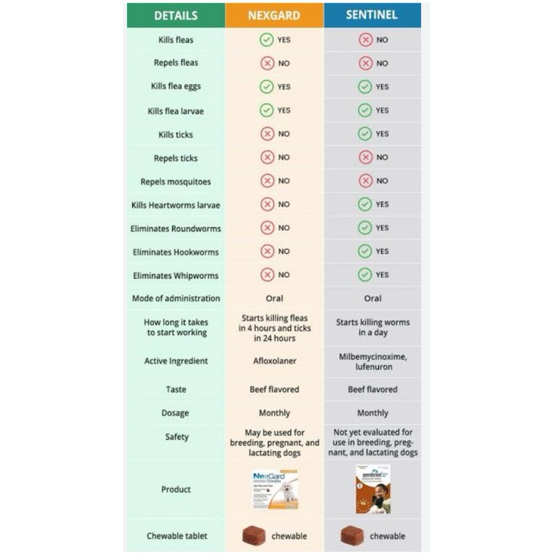 Nexgard Spectra Anti Tick & Flea with Sticker for Dogs Sold per Tablet ...
