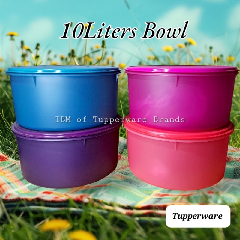 Tupperware Takes a Lot Bowl 10Liters | Shopee Philippines