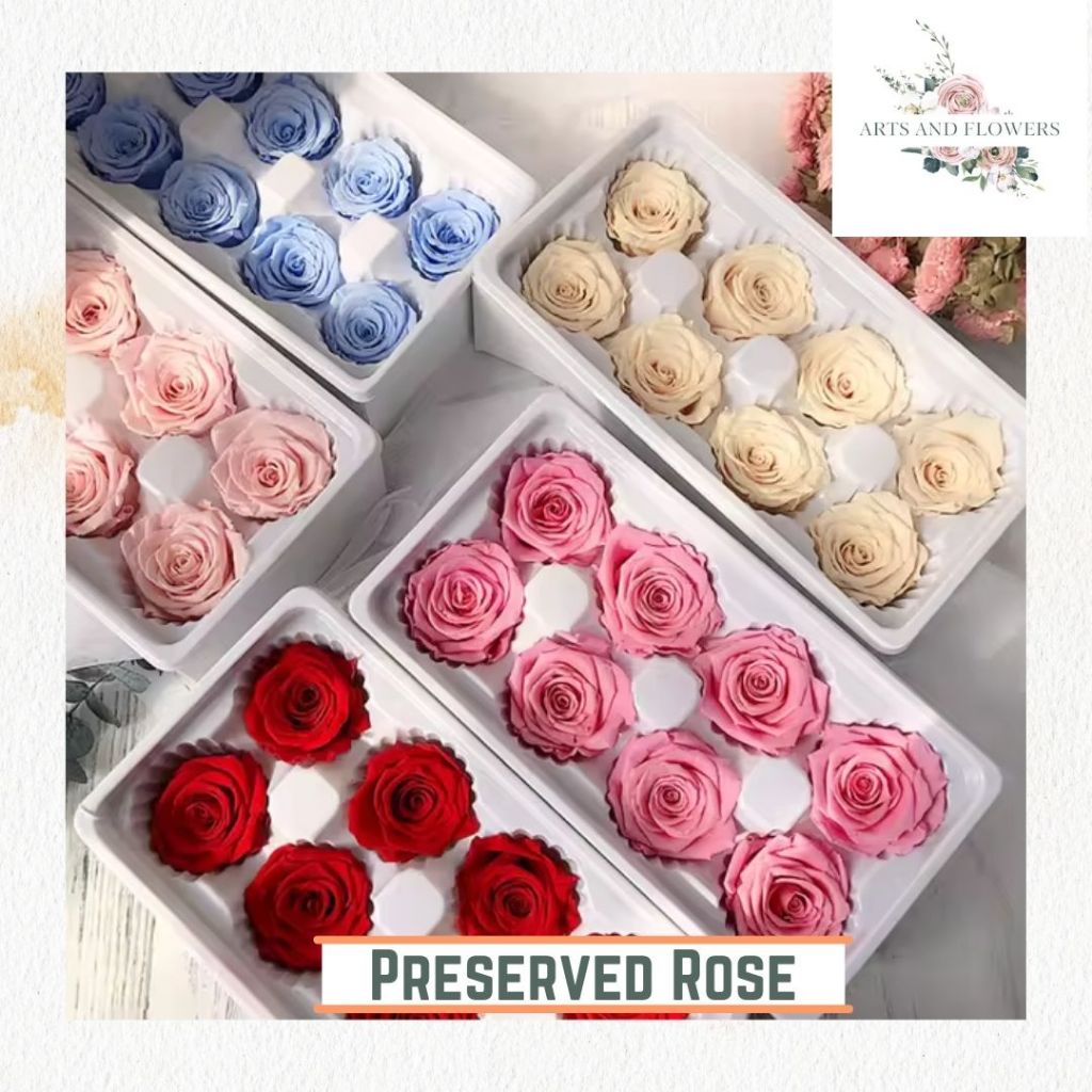 Preserved Rose 8pcs per box / real roses /everlasting rose | Shopee ...