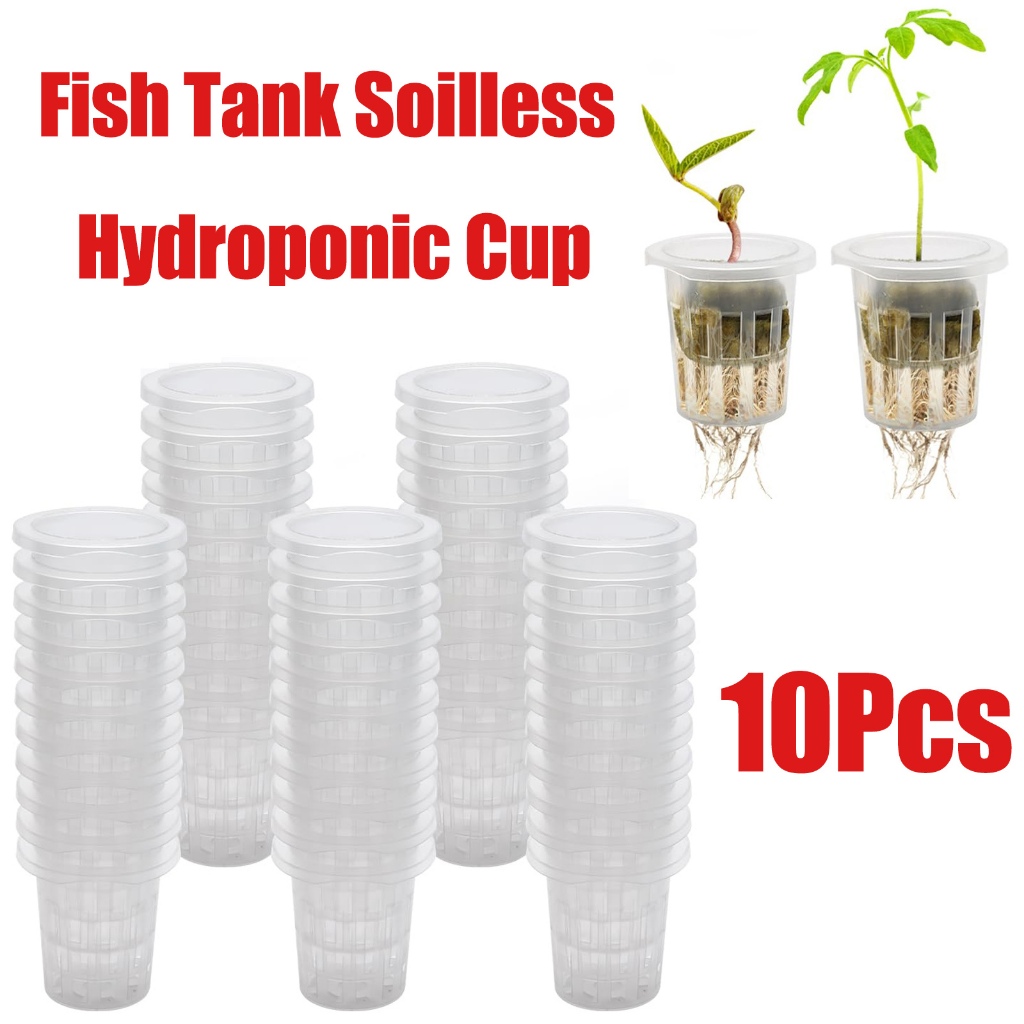 Fish tank soilless water cultivation cup Plant vegetation Water plant ...