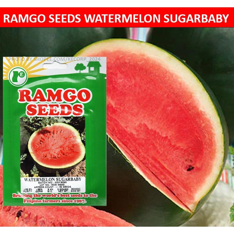 RPD Seeds Watermelon Sugarbaby by Ramgo 3grams_kc241207 | Shopee ...