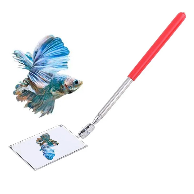 Aquarium Fish Tank Betta Mirror for Fish Betta Flowerhorn Cichlid ...