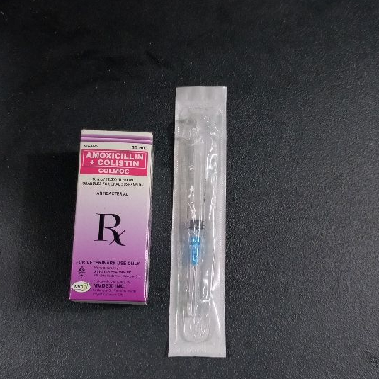 Colmoc (Amoxicillin + Colistin) Antibacterial for Pets 60ML with Free ...