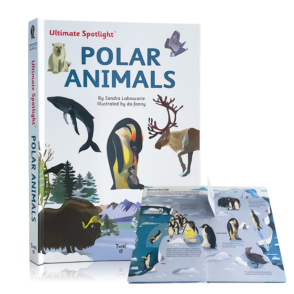 Ultimate Spotlight: Polar Animals Early English Education Book for kid ...