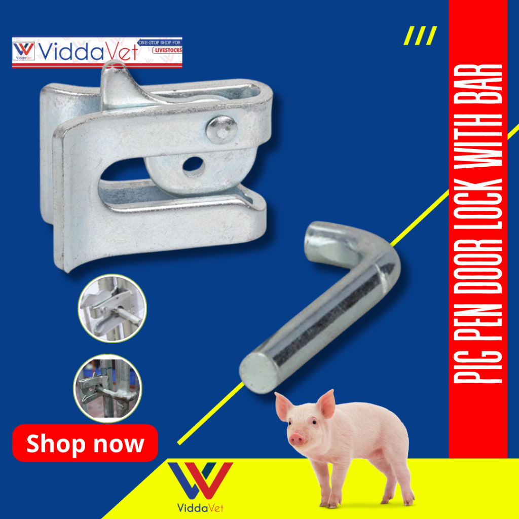 Galvanized door lock for piggery door lock for pig pens pig farrowing ...