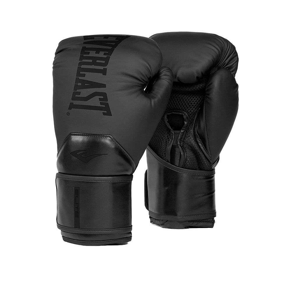 Everlast Elite 2 Boxing Gloves | Shopee Philippines