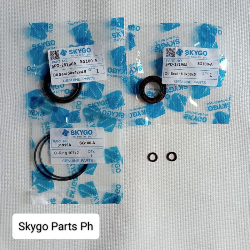 Skygo Magneto Kit/ Hero/Duke/Archer | Shopee Philippines