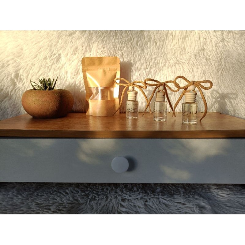 CAR HANGING DIFFUSER 10ml | Shopee Philippines