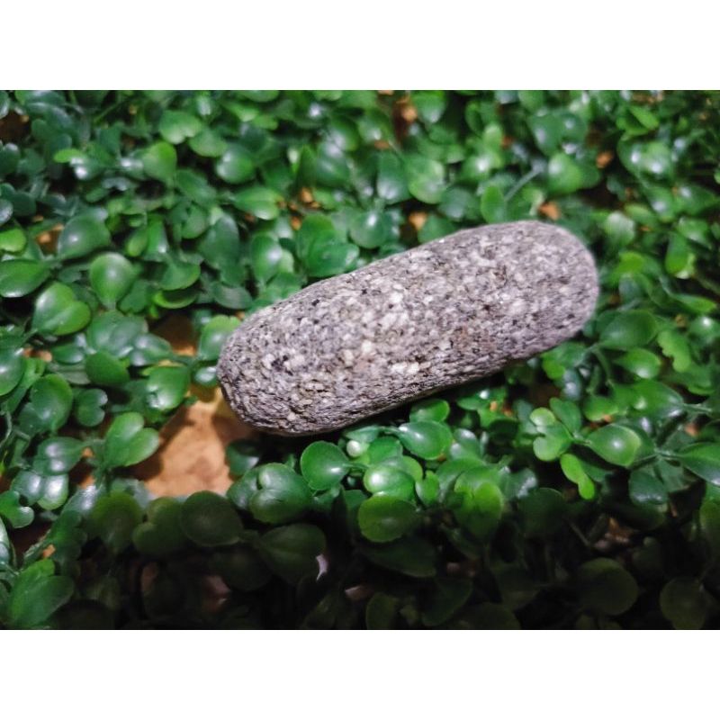 batong panghilod for kids(small) | Shopee Philippines