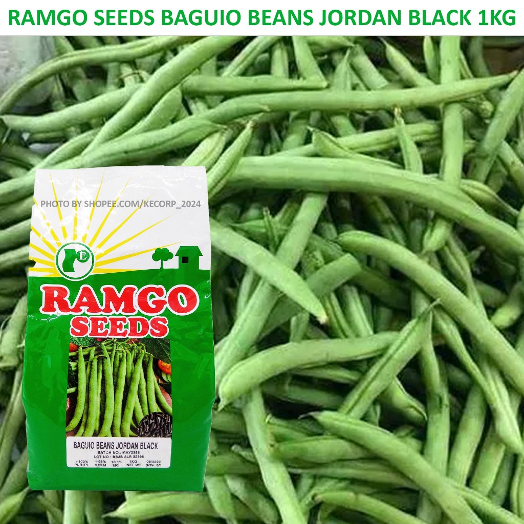 Ramgo Seeds BAGUIO BEANS JORDAN BLACK 1 Kilo Pack_kc241207 | Shopee ...