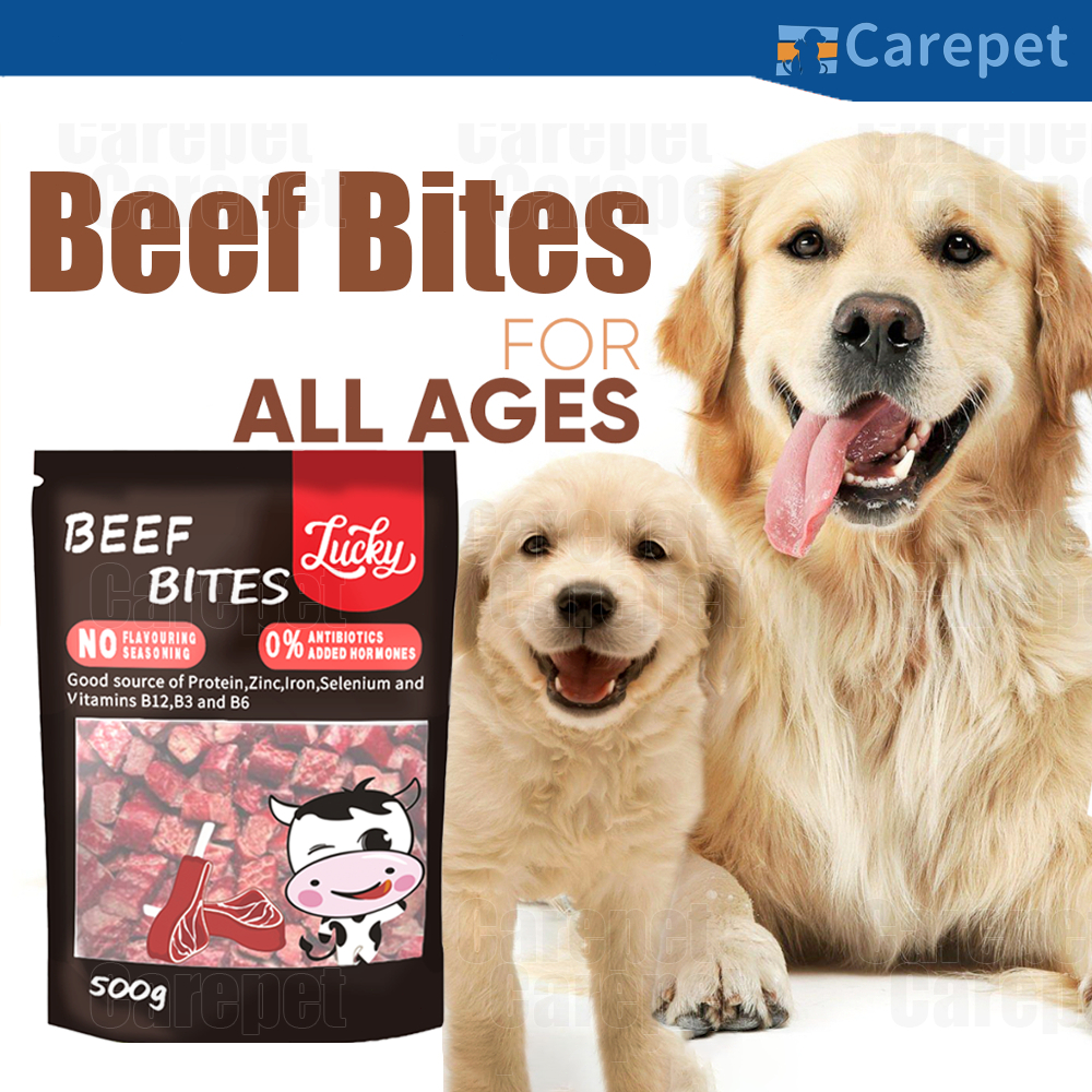 500g Beef Bites Beef Stick Dog Snack Dog Treats Beef Cube Beef Stick ...