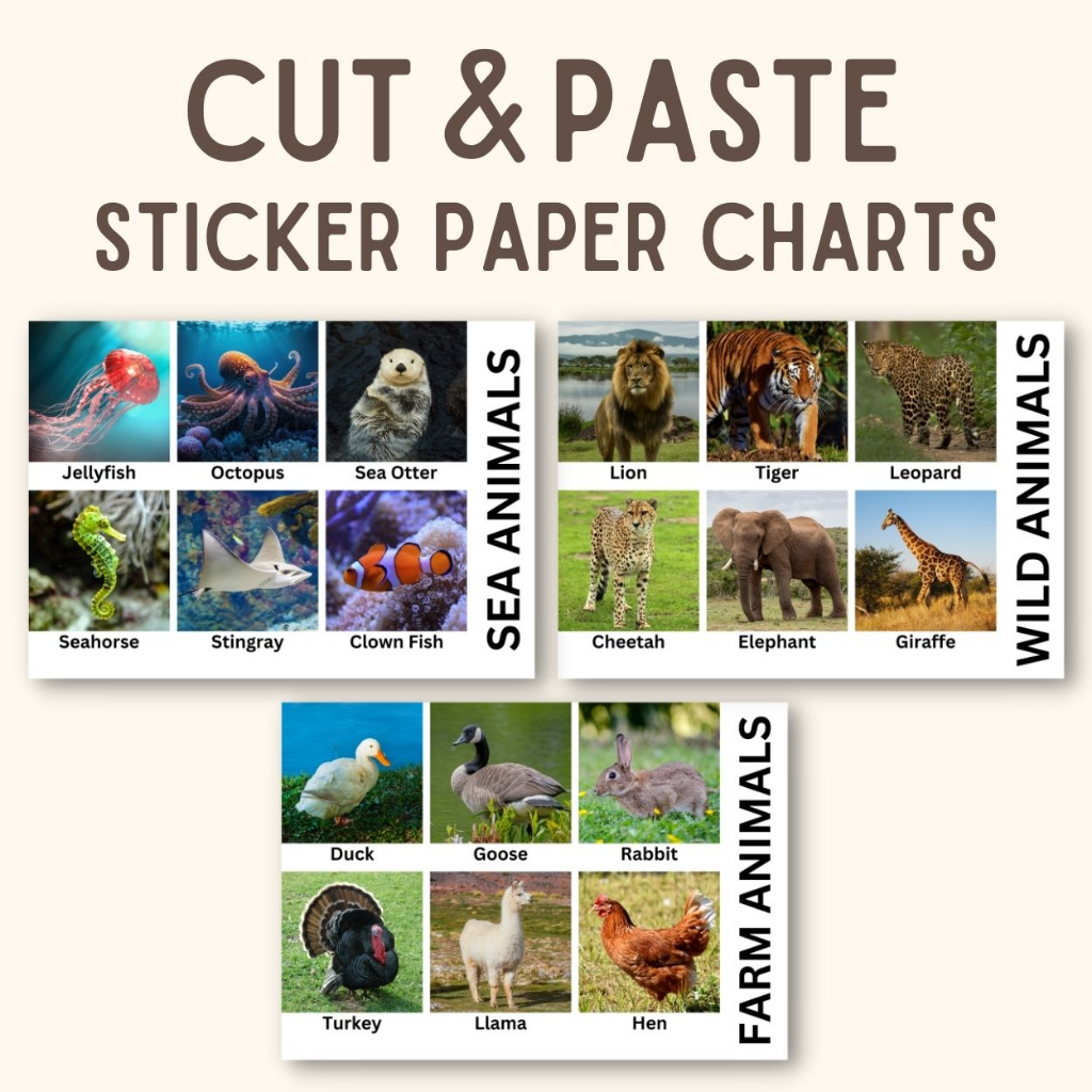CUT & PASTE Educational Sticker Charts for School Projects, Assignments ...