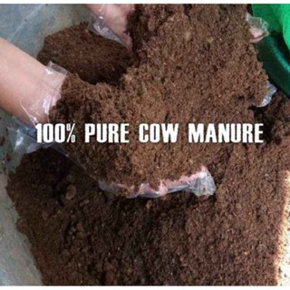 Dried Odorless pure cow manure 2 liter & 4 liter composted | Cattle ...