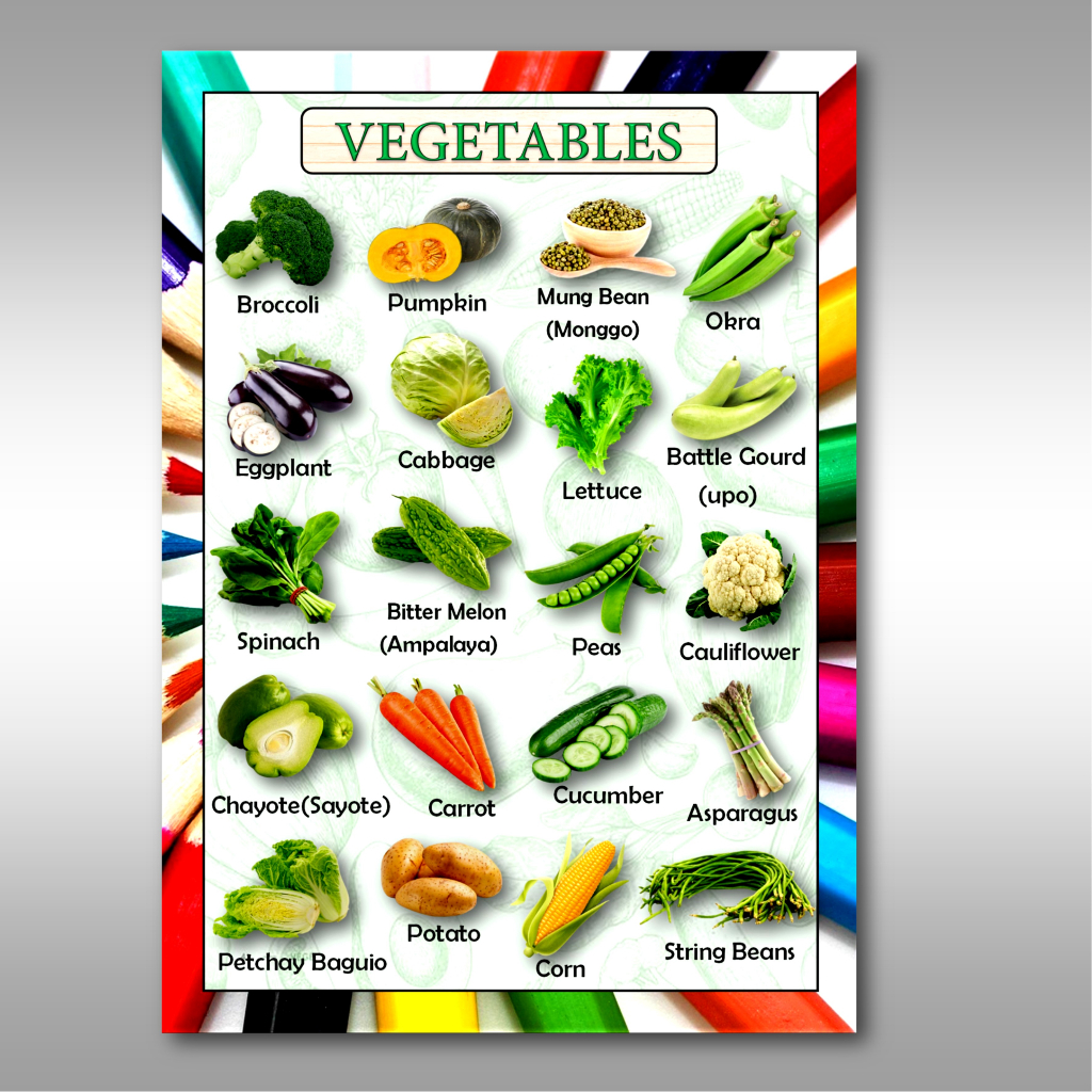 Vegetables educational chart lamianted chart | Shopee Philippines