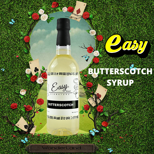 Easy Brand Signature Butterscotch Coffee Syrup 950ml | Shopee Philippines
