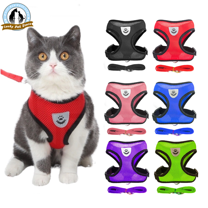 Adjustable Cat leash for cats cat harness and leash cat leash harness ...