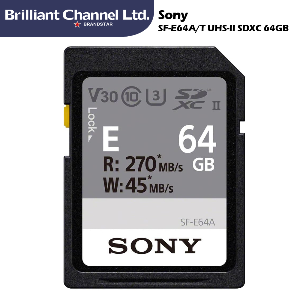 Sony 64GB SF-E64A SDXC Memory Card | Shopee Philippines