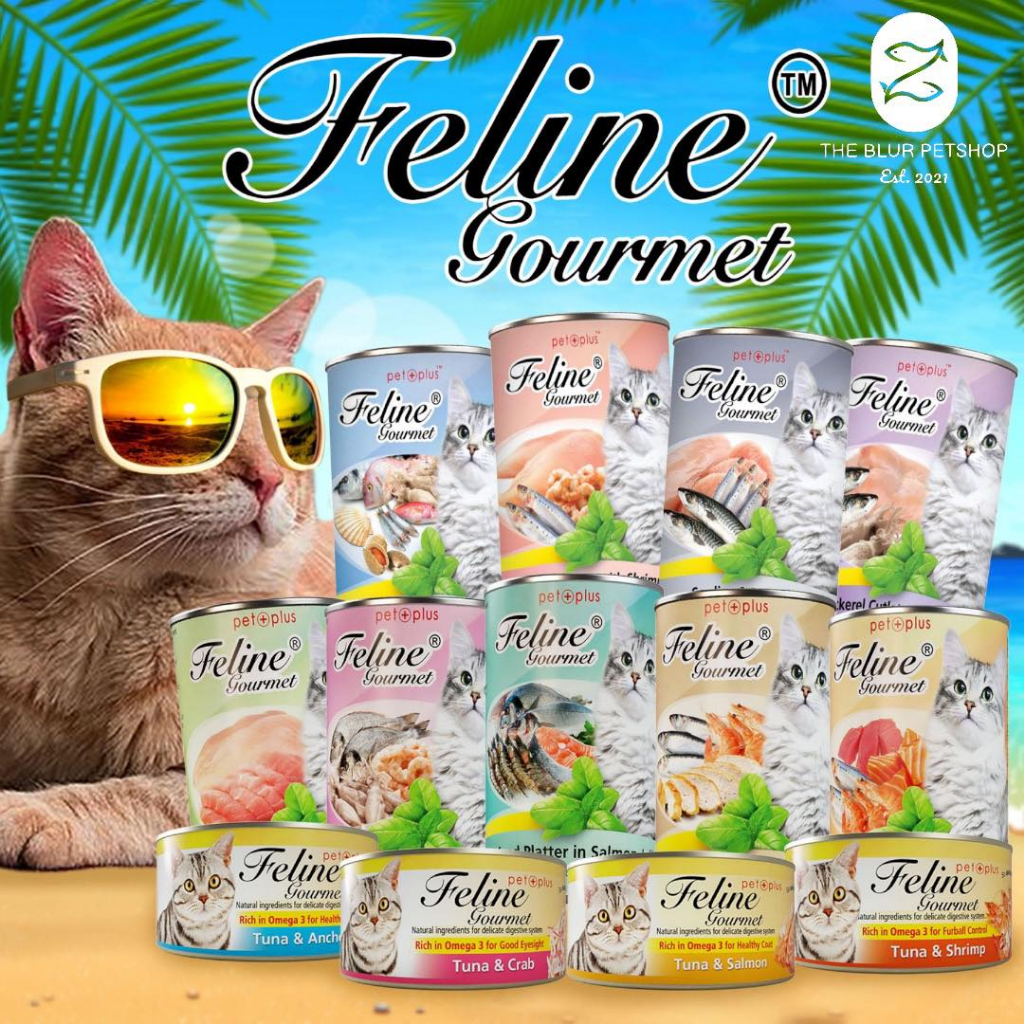 Feline Gourmet 400g Cat Wet Food Cat Essentials Accessories | Shopee ...