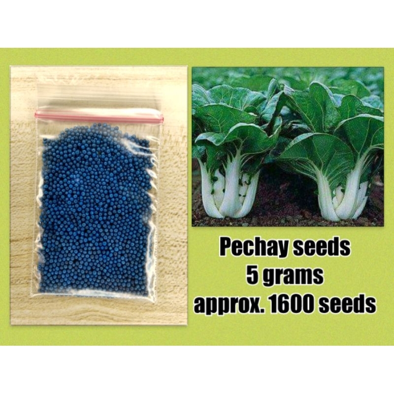 PECHAY SEEDS 5grams approx 1600 seeds | SULIT HUB PH | Shopee Philippines