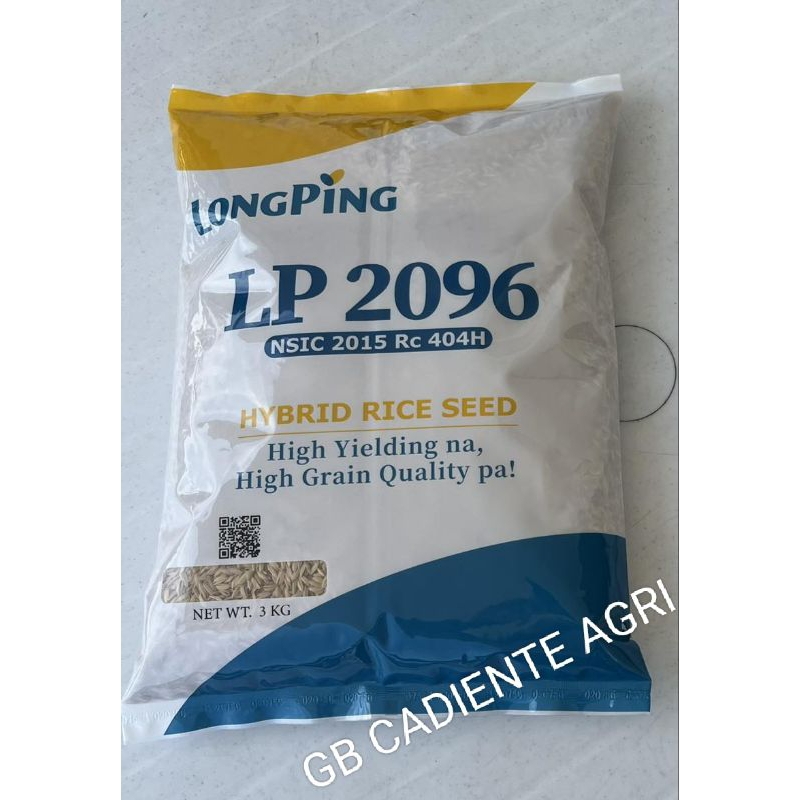 LongPing 2096 | 937 Hybrid Rice Seed | Guaranteed Authentic | Shopee ...