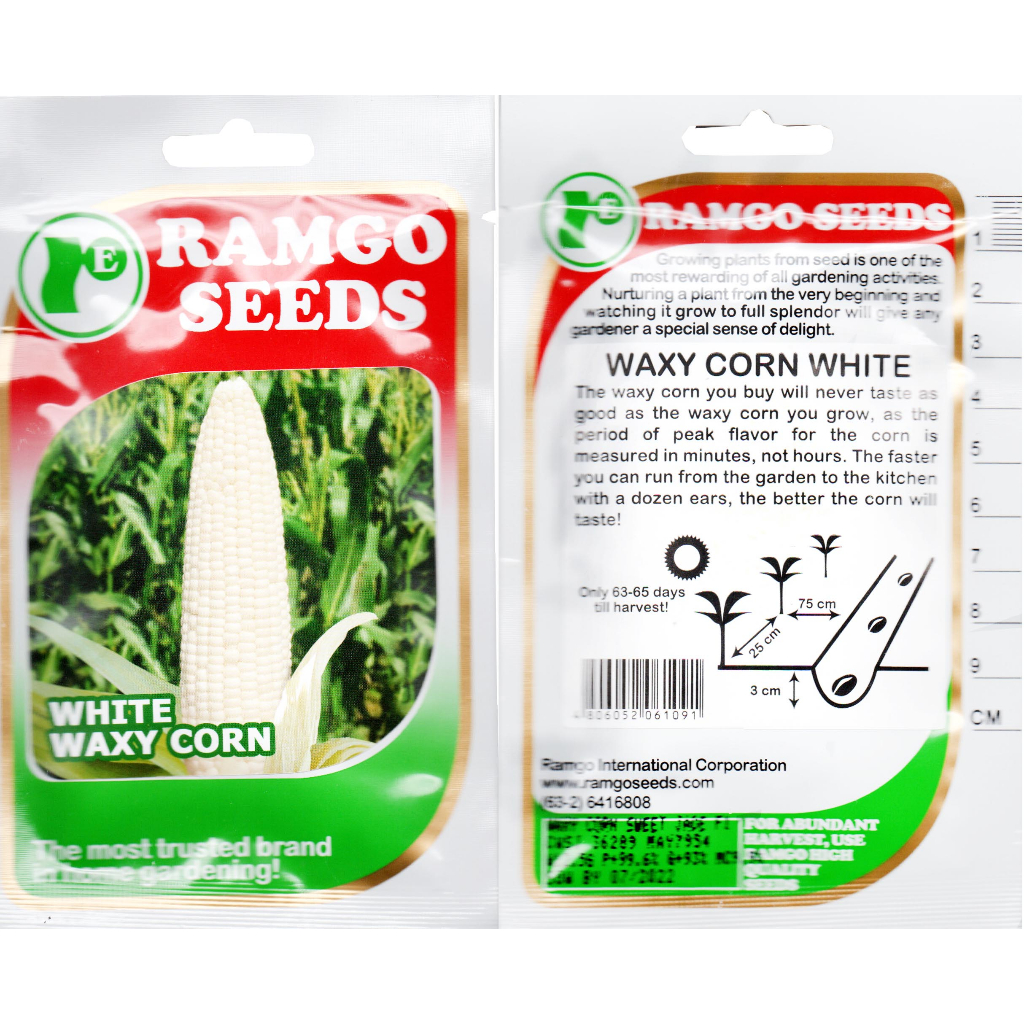 Ramgo RPO Seeds Sweet Corn Honey Baby & White Corn Waxy Honey King 6g (Original Pack) GDSFPH_S4 ...