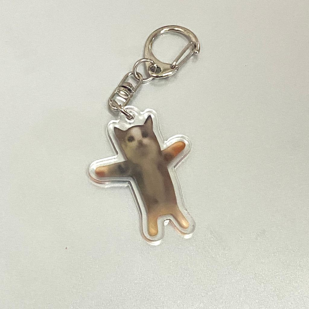 Funny Cute Crying Banana Cat Keychain Acrylic Cartoon Key Ring | Shopee ...