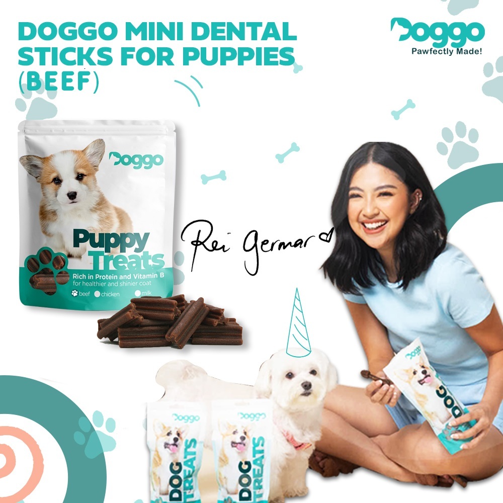 Doggo Mini Dental Sticks For Puppies Beef Flavor (Single Pouch ...