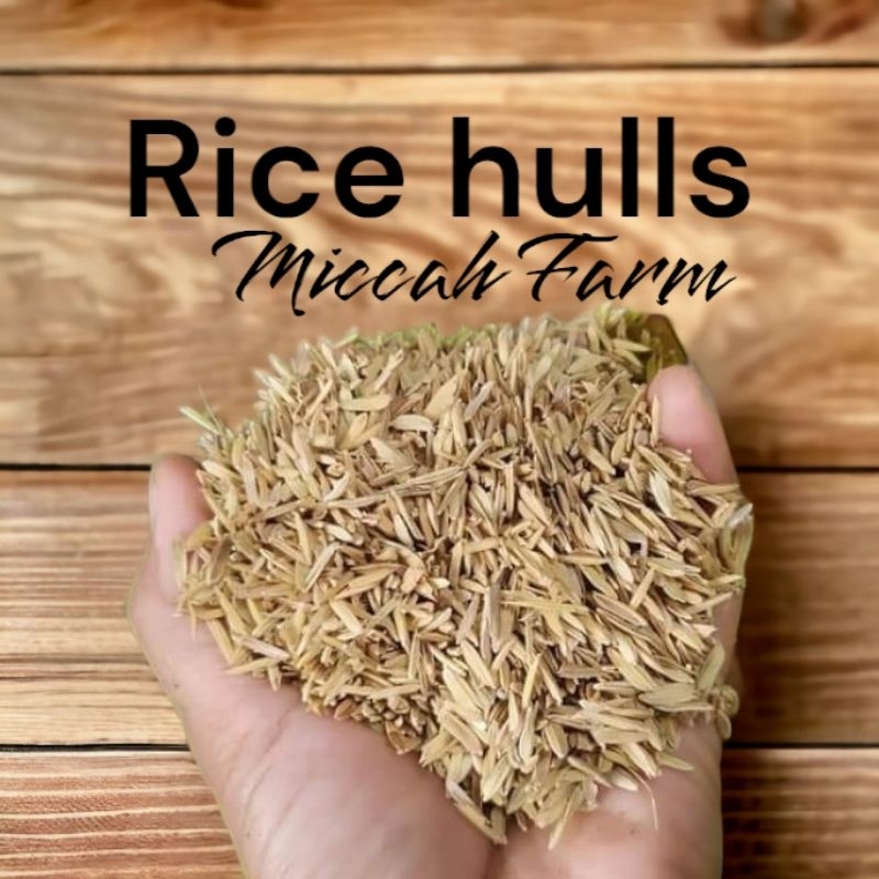 Ricehull|ipa|sariwang ipa|rice hulls DRY /compost (COD) | Shopee ...