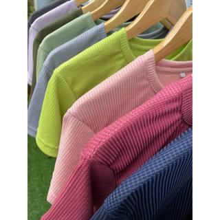 E&G Mini Waffle Shirts Knit Style Fabric Regular Fit T-Shirts Cotton ...