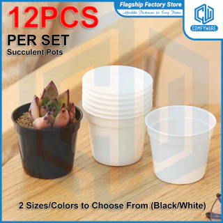tahoos snacks - Best Prices and Online Promos - Jul 2025 | Shopee ...